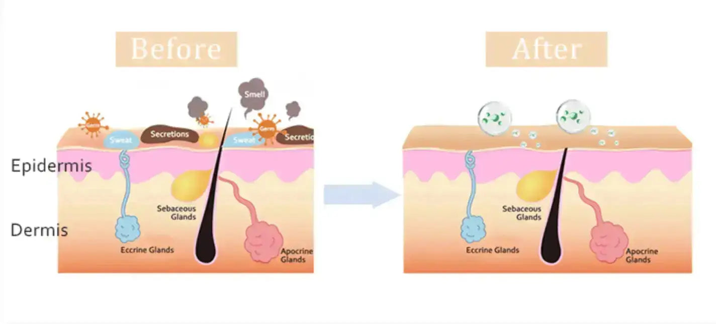 What Is Absorbed Through Your Skin? Science That Matters – CLAYER